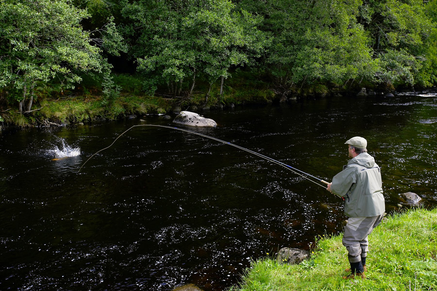 AlnessFishing | Trout & Salmon Feature