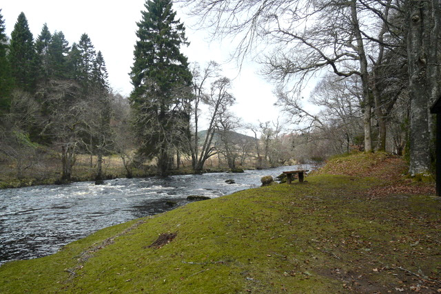 Ardross Castle Fishings