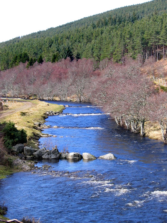 River Alness Salmon Fishings