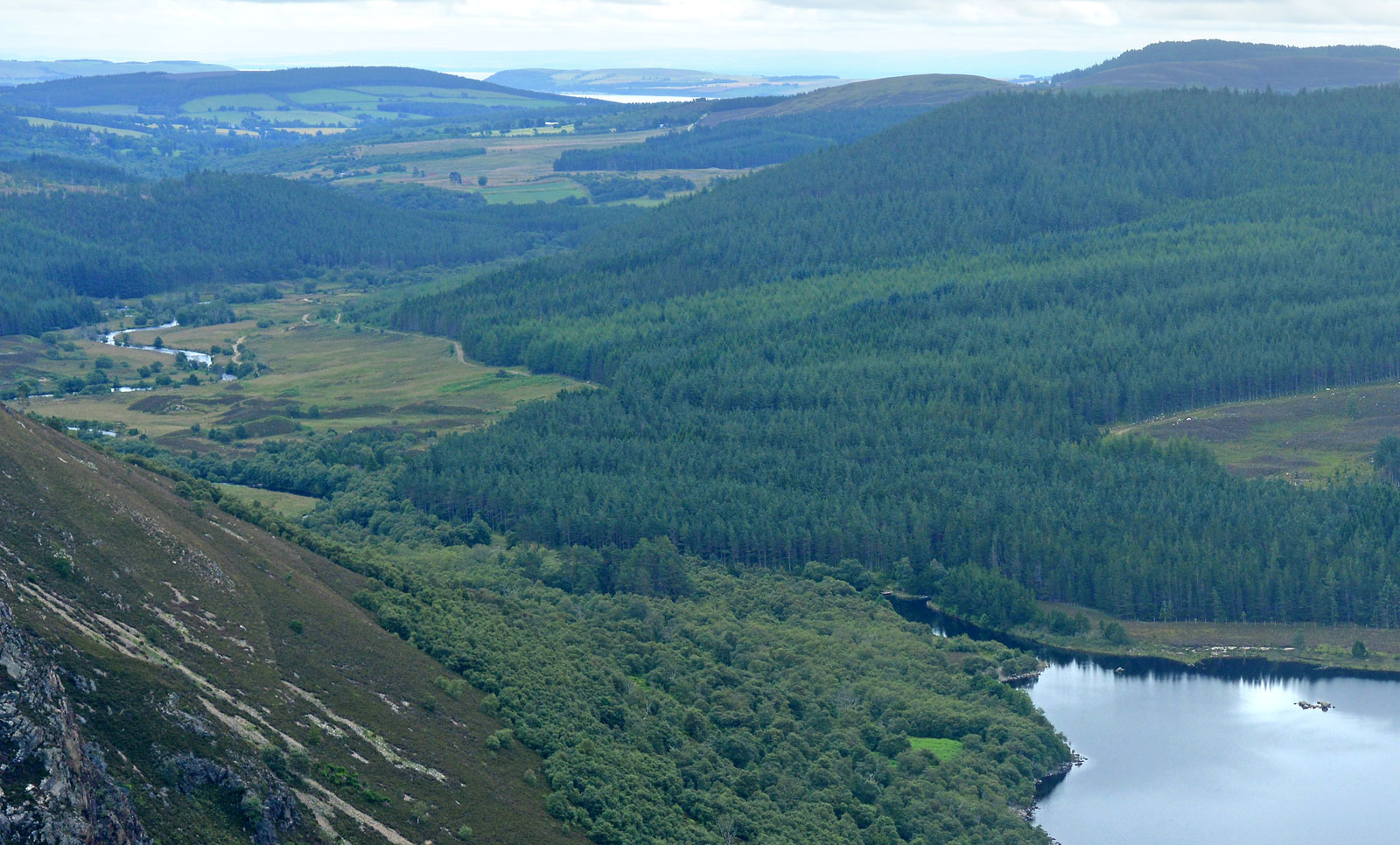 AlnessFishing | Above The Alness